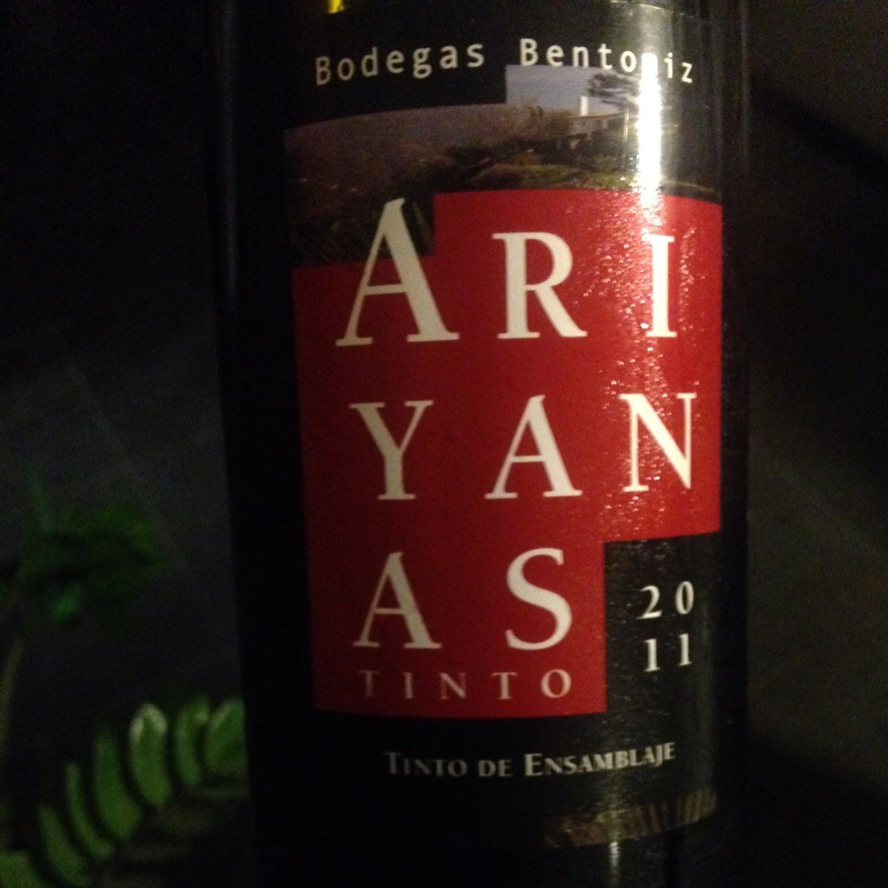 Bodegas Bentomiz Ariyanas Tinto de Ensambaje Sierras de Málaga Red Blend