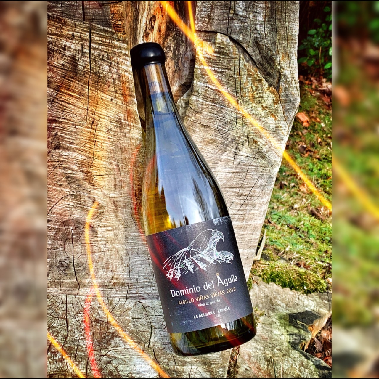 Dominio del Aguila La Aguilera Viñas Viejas Albillo 2016 – Morrell Wine ...