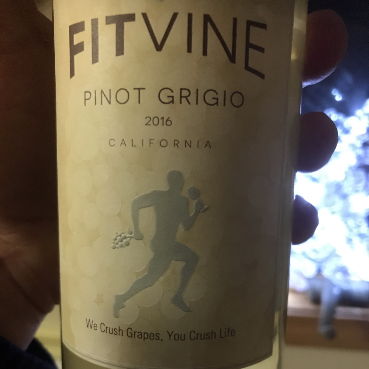 Fitvine Cabernet 750ml Luekens Wine Spirits