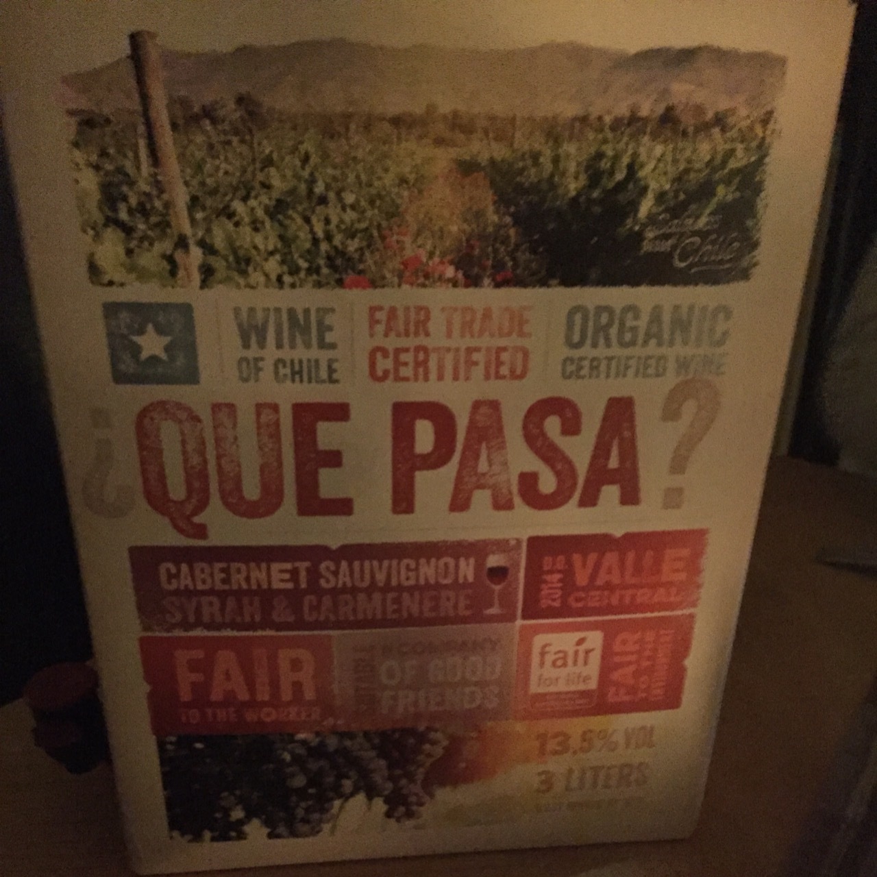 Que Pasa Valle Central Cabernet Sauvignon Blend