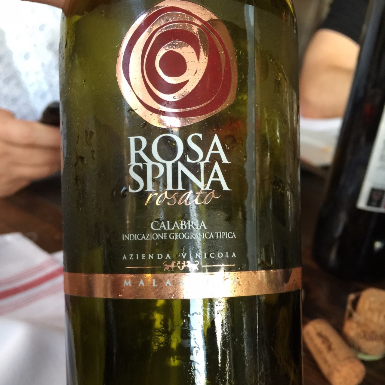 Malaspina Rosa Spina Rosato Calabria Gaglioppo